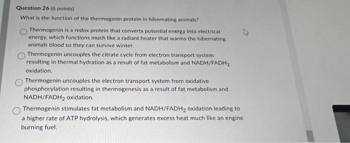 Solved What is the function of the thermogenin protein in | Chegg.com