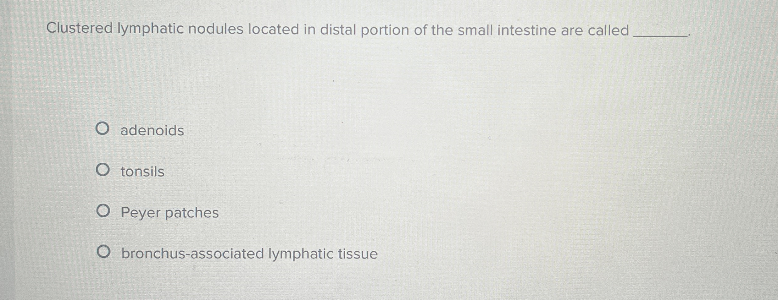 Solved Clustered lymphatic nodules located in distal portion | Chegg.com