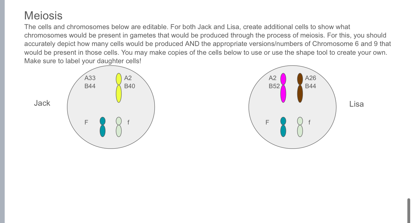 Solved MeiosisThe cells and chromosomes below are editable. | Chegg.com