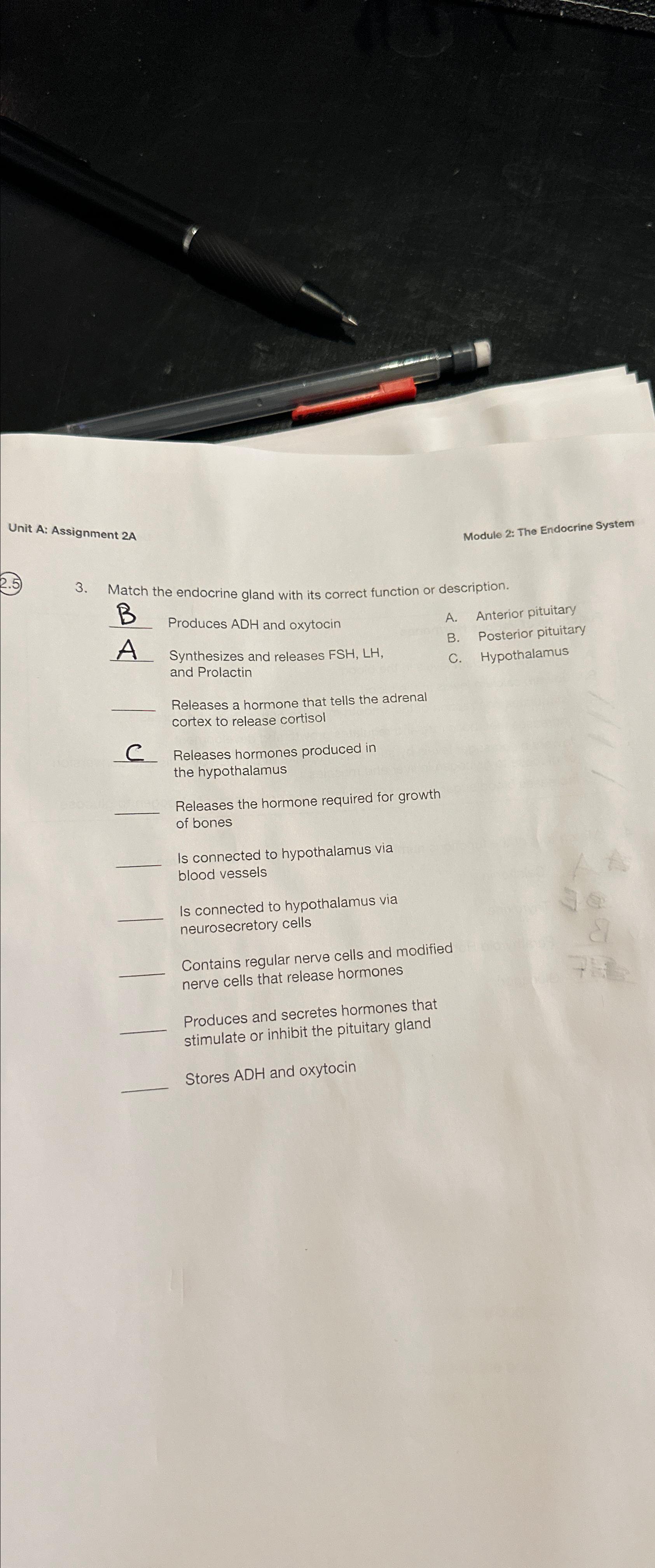 Solved Unit A: Assignment 2AModule 2: The Endocrine System3. | Chegg.com