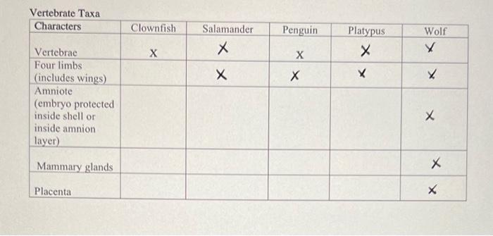 Solved Q. Q2. Convert the TABLE in Q1 into a cladogram using | Chegg.com