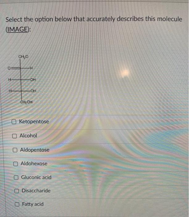 Solved Select the option below that accurately describes | Chegg.com