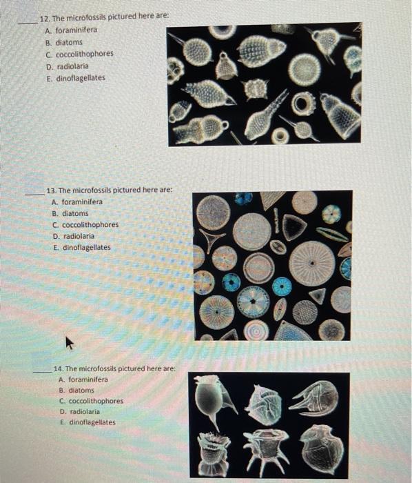 Solved 12. The microfossils pictured here are: A. | Chegg.com