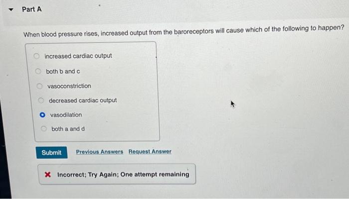 Solved When blood pressure rises, increased output from the | Chegg.com