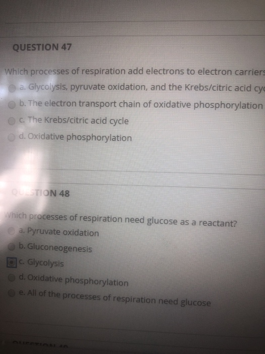 Solved Activity 2: Viewing Objects Through the Microscope 1. | Chegg.com