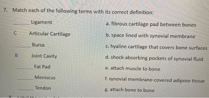 Solved 7. Match each of the following terms with its correct | Chegg.com