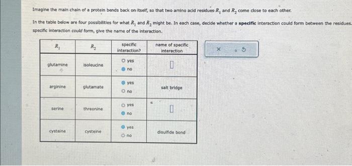 Solved Imagine the main chain of a protein bends back on | Chegg.com