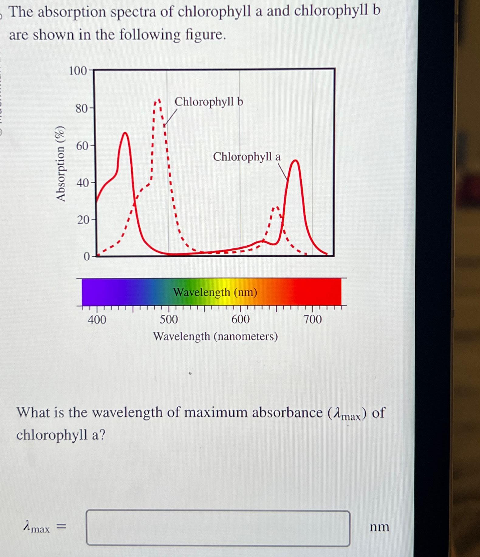 The absorption spectra of chlorophyll a and | Chegg.com