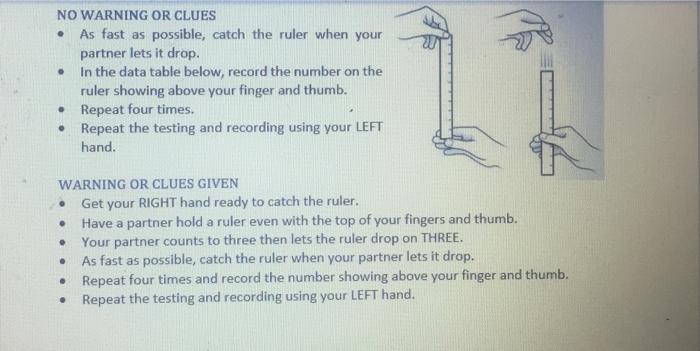 Solved Purpose To measure your reaction time to catch a | Chegg.com