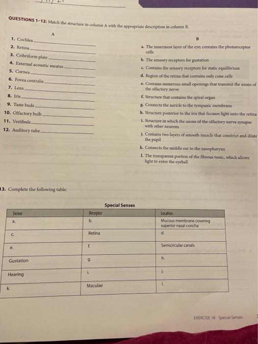 Solved QUESTIONS 1-12: Match the structure in column A with | Chegg.com Solved QUESTIONS 1-12: Match the structure in column A with | Chegg.com
