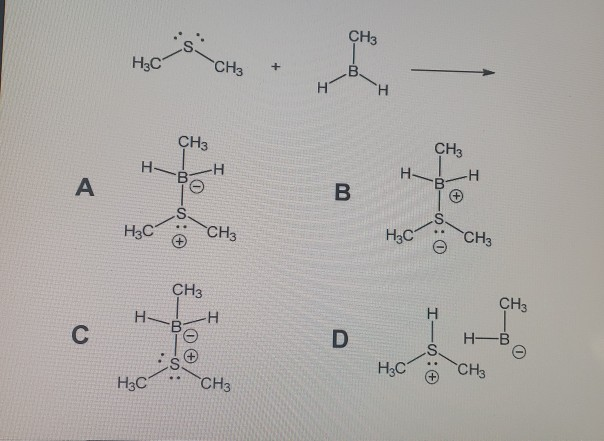 Solved CH3 H3C CH3 + Н CH3 CH3 H— -Н HB А B + НЫС CH3 нс CH3 | Chegg.com