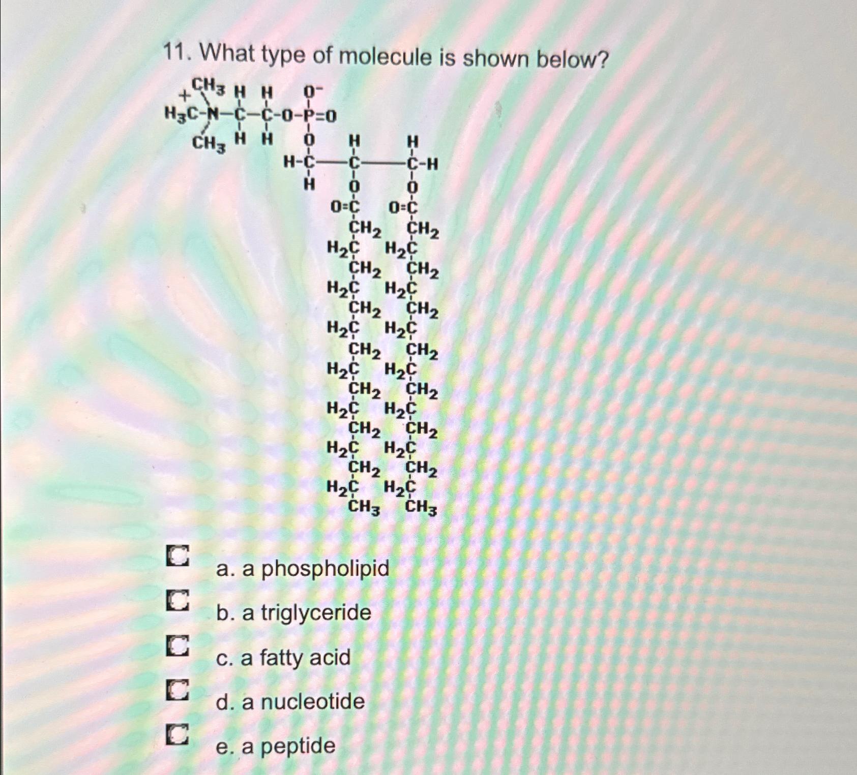 Solved What type of molecule is shown below?a. ﻿a | Chegg.com