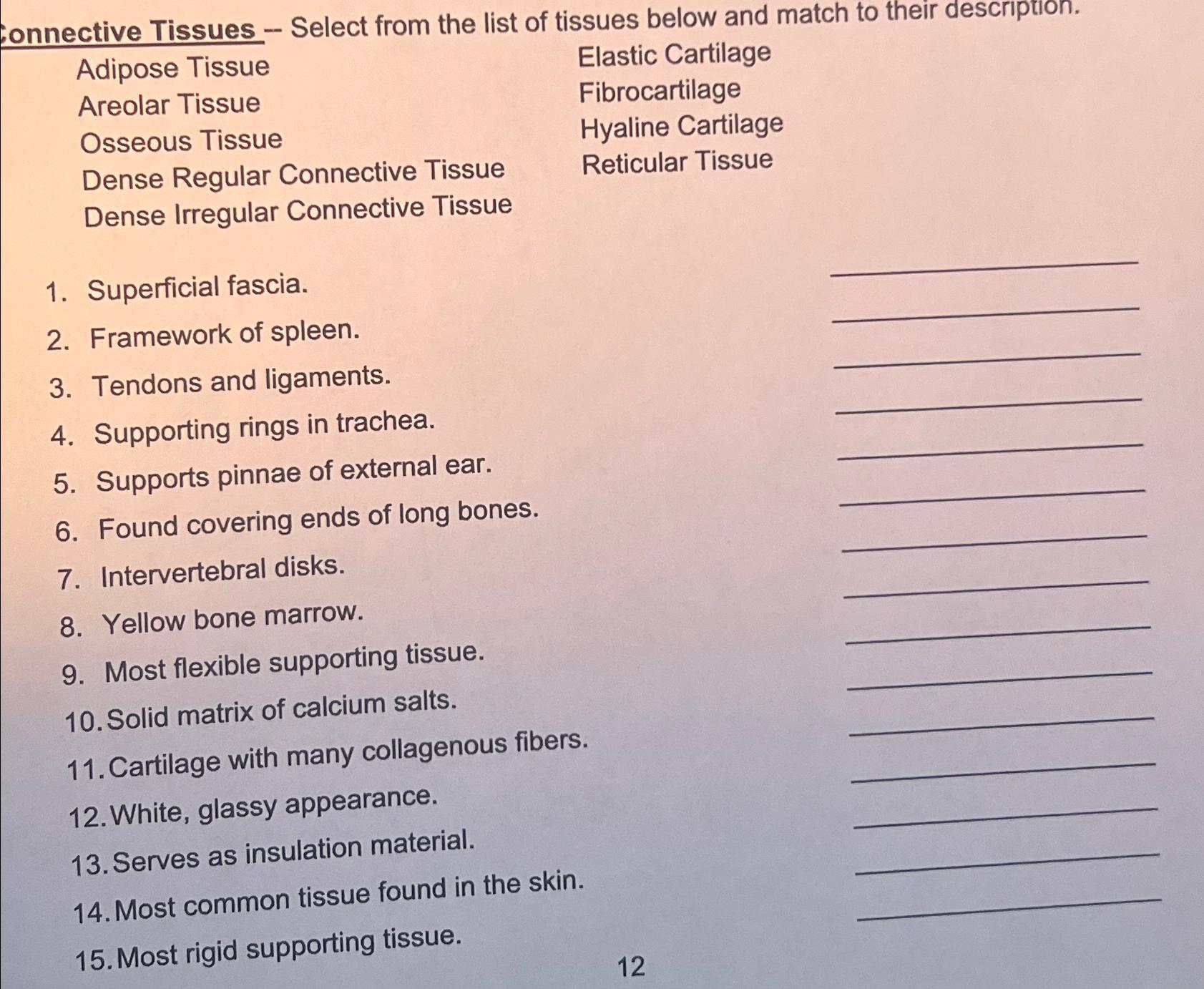 Connective Tissues - ﻿Select from the list of tissues | Chegg.com