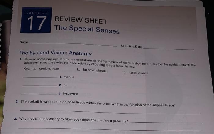 Solved EXERCISE 17 REVIEW SHEET The Special Senses Name Lab | Chegg.com