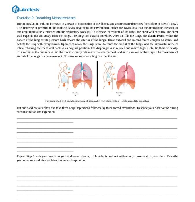 Solved Exercise 2: Breathing Measurements During inhalation, | Chegg.com