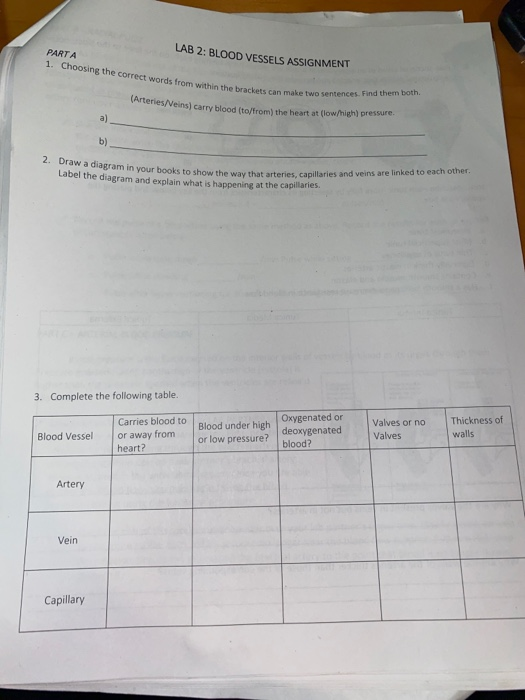 Solved LAB 2: BLOOD VESSELS ASSIGNMENT PARTA 1. Choosing the | Chegg.com