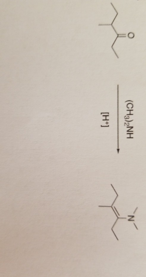 Solved (CH3)2NH [H] | Chegg.com