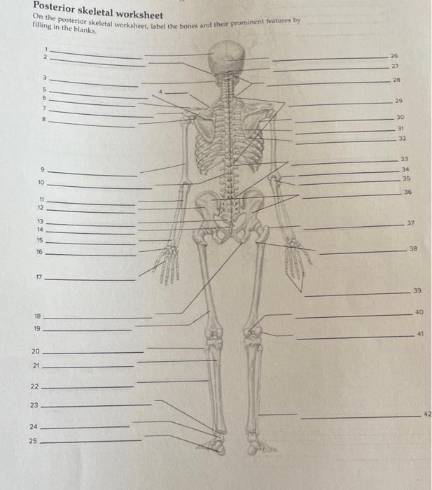 4. What are the five functions of the skeleton? 5. | Chegg.com