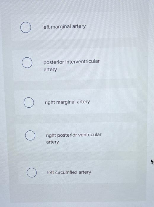 Solved Which structure is highlighted? left marginal artery | Chegg.com