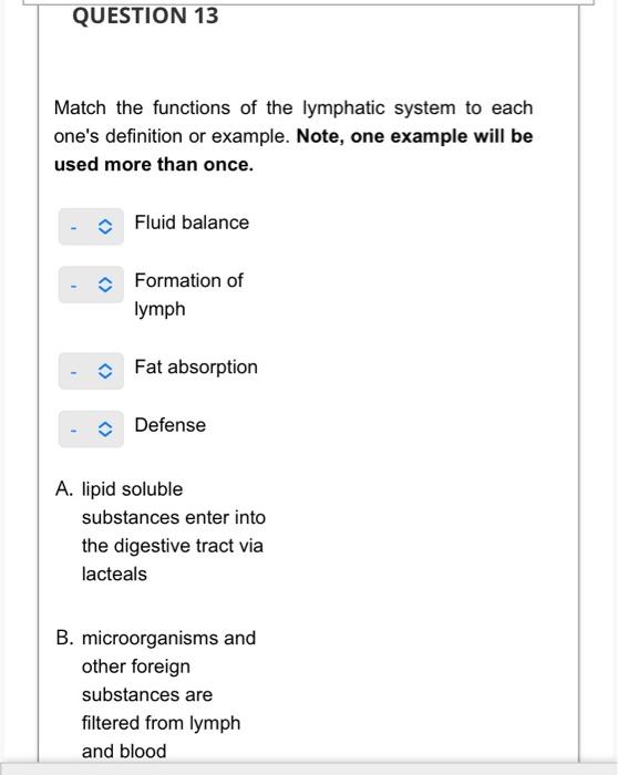Solved Match the functions of the lymphatic system to each | Chegg.com