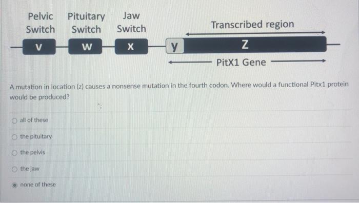 Solved Pelvic Switch Pituitary Switch Jaw Switch Transcribed | Chegg.com