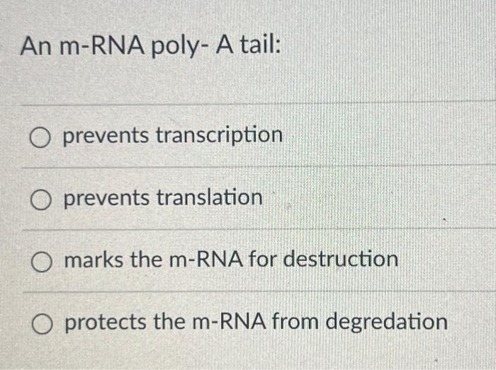 Solved An m-RNA poly- A tail: prevents transcription | Chegg.com