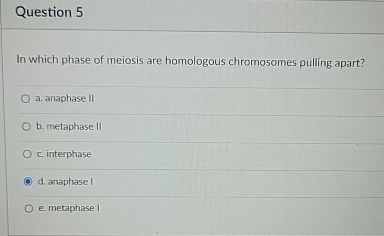 Solved Question 5In which phase of meiosis are homologous | Chegg.com