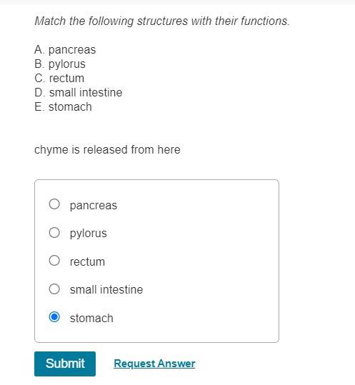 What is the function of the interstitial cells of | Chegg.com