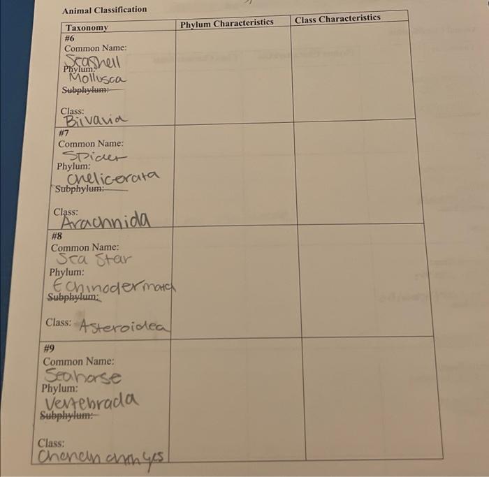 Solved Animal Classification Taxonomy #6 Common Name: | Chegg.com