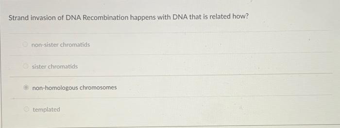 Solved Strand invasion of DNA Recombination happens with DNA | Chegg.com