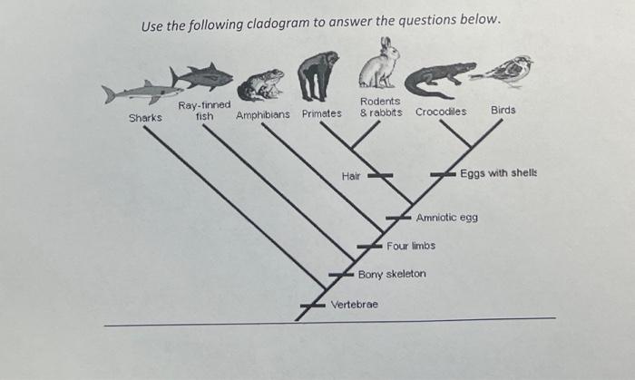Solved What is a cladogram? It is a diagram that depicts | Chegg.com