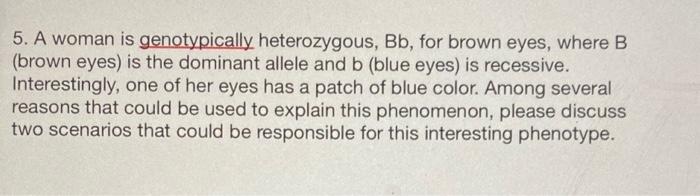 Solved 5. A woman is genotypically heterozygous, Bb, for | Chegg.com