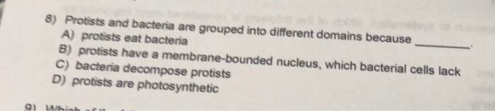 Solved 8) Protists and bacteria are grouped into different | Chegg.com