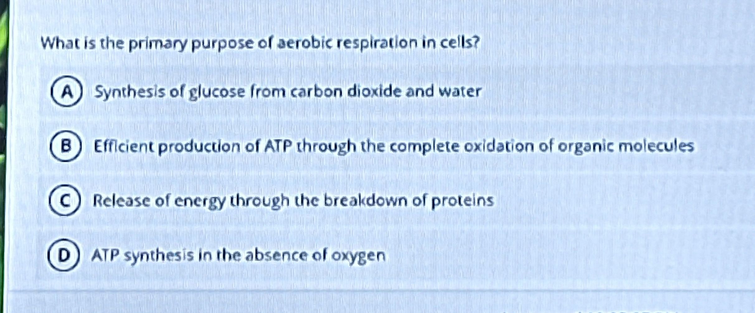 Solved What is the primary purpose of aerobic respiration in | Chegg.com