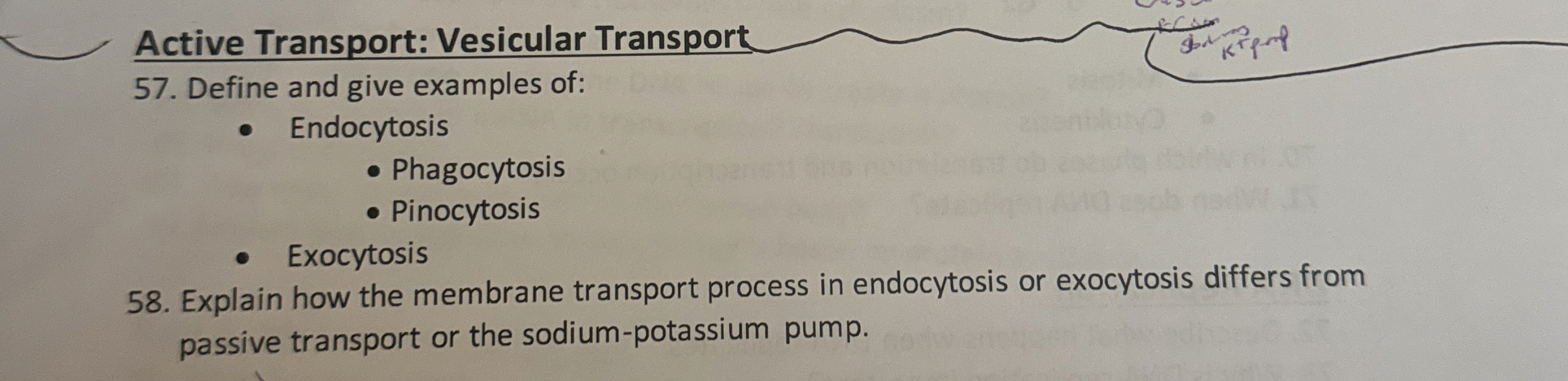 Solved Active Transport: Vesicular Transport57. ﻿Define and | Chegg.com