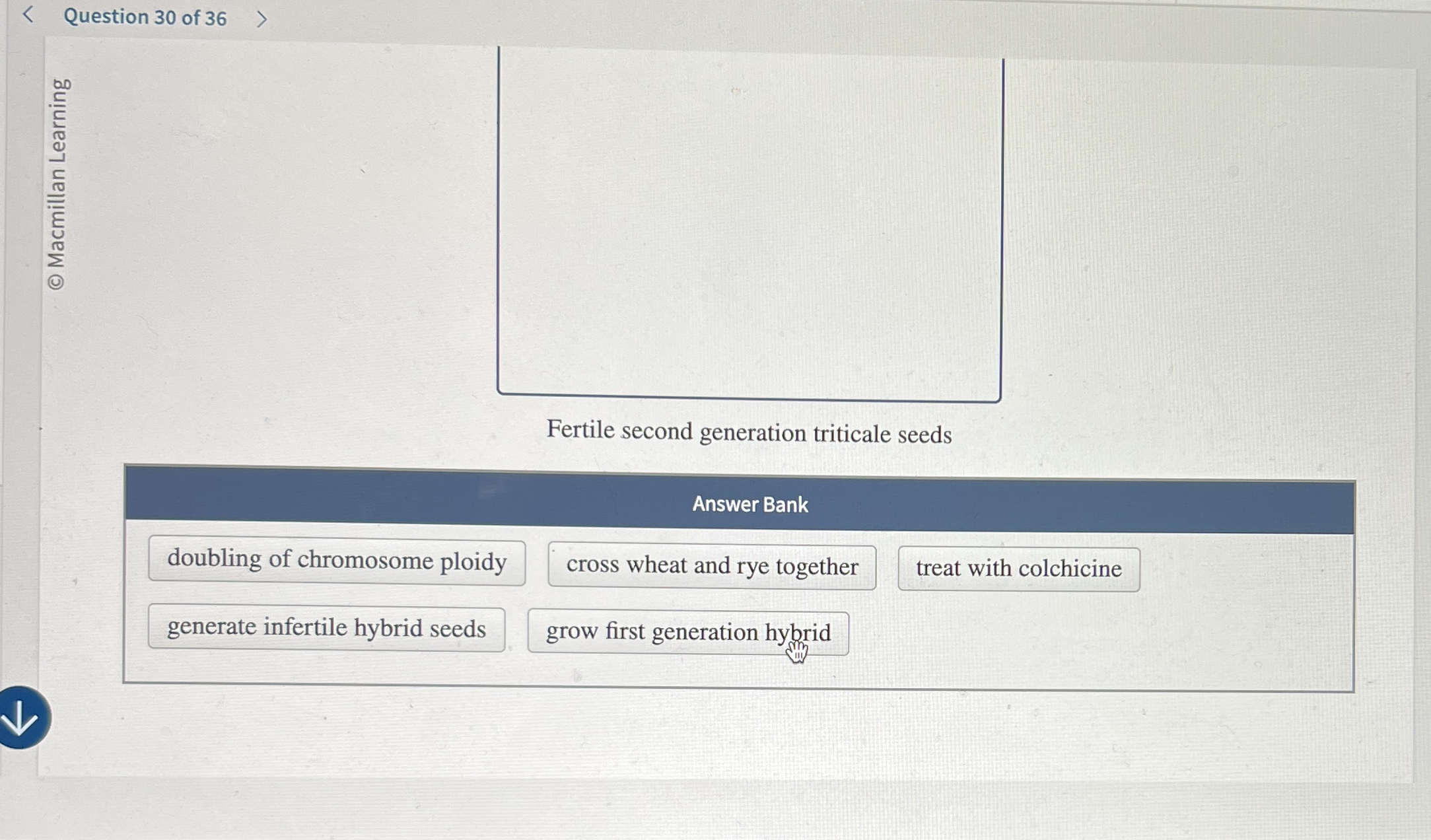 Solved Question 30 ﻿of 36 Fertile second generation | Chegg.com