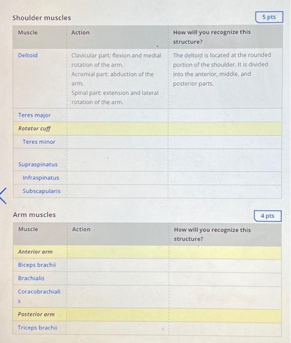 Solved Shoulder muscles Muscle Deltoid Teres major Rotator | Chegg.com