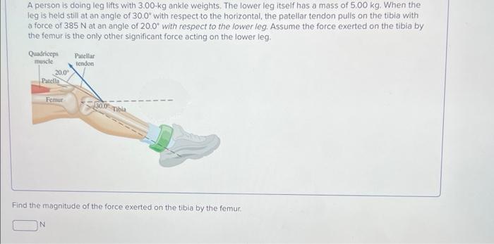 Solved A person is doing leg lifts with 3.00 kg ankle | Chegg.com