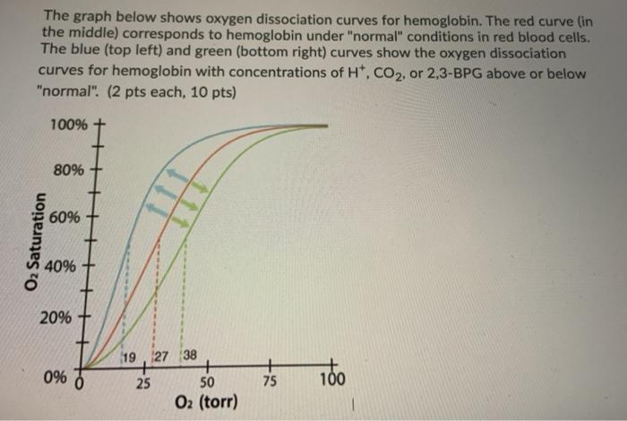 Solved The graph below shows oxygen dissociation curves for | Chegg.com