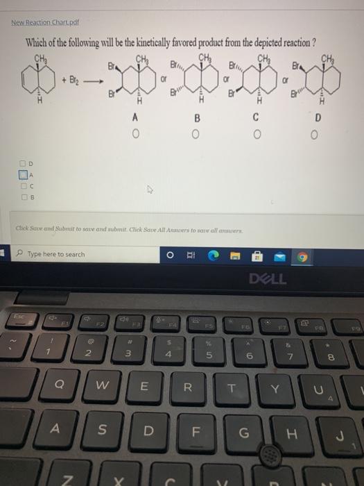 Solved New Reaction Chart pat Which of the following will be | Chegg.com