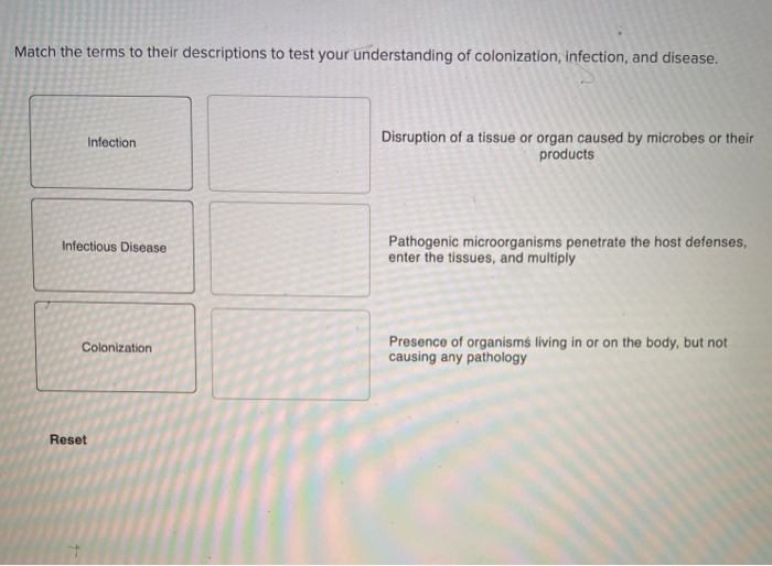 Solved Match the terms to their descriptions to test your | Chegg.com