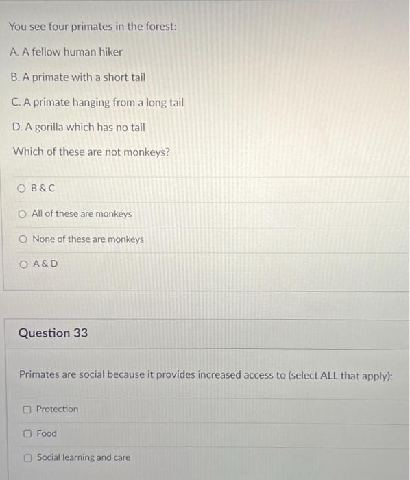 You see four primates in the forest: A. A fellow | Chegg.com