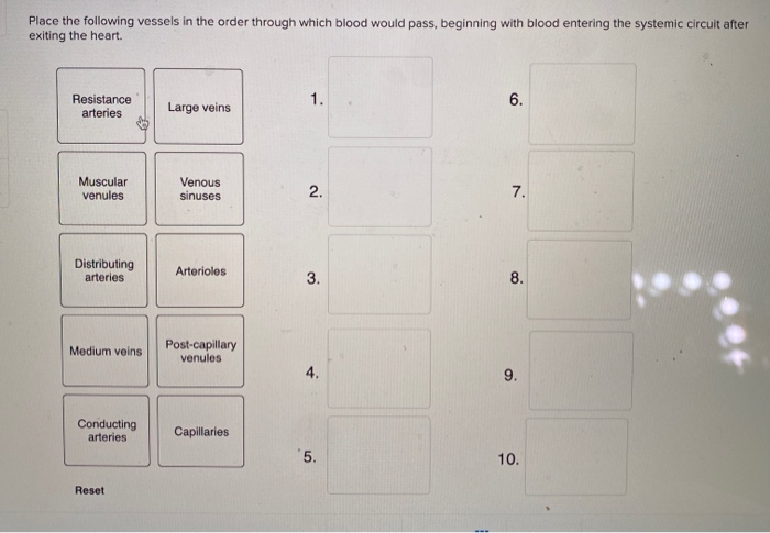 Solved Place the following vessels in the order through | Chegg.com
