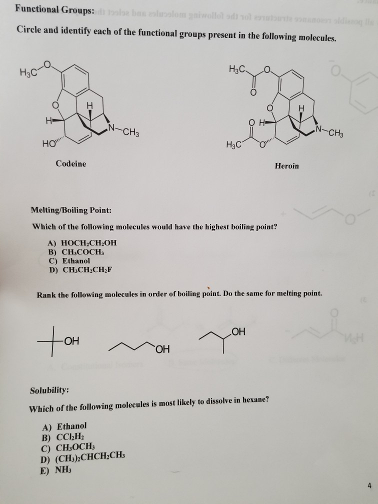 Solved Functional Groups: ala bolalom gewolllado moldog | Chegg.com