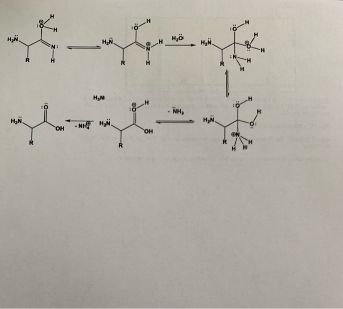 Solved 0h HN. H₂ H₂R . HEN NH3 DH • NI HẠN | Chegg.com