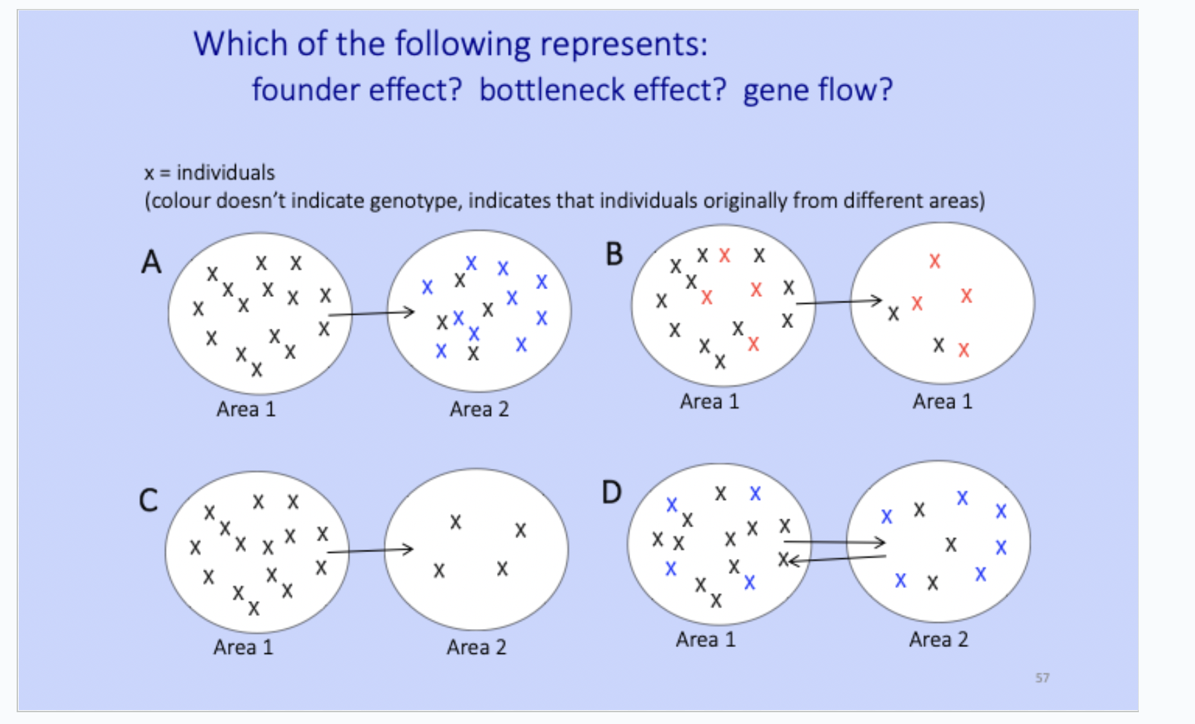 Solved Which of the following represents:founder effect? | Chegg.com