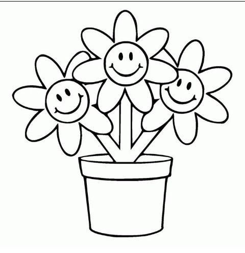 Solved write java code to draw this Shape without obb just a | Chegg.com