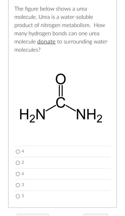 Solved The figure below shows a urea molecule. Urea is a | Chegg.com
