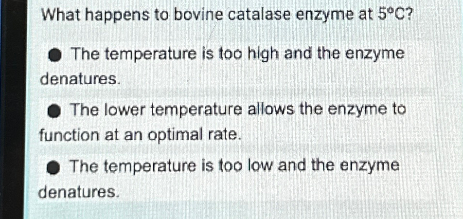 Solved What happens to bovine catalase enzyme at 5°C ?The | Chegg.com