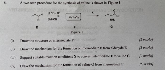 Solved b. A two-step procedure for the synthesis of valine | Chegg.com